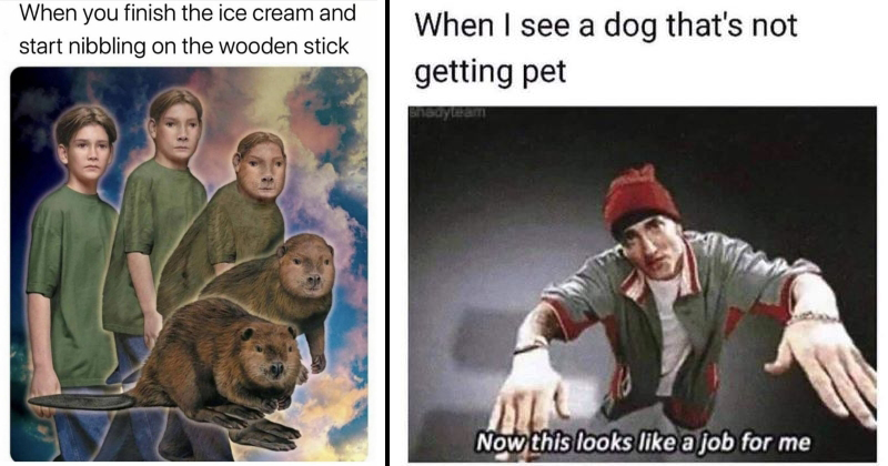 Various Memes On A Sliding Scale Of Dankness - Memebase - Funny Memes