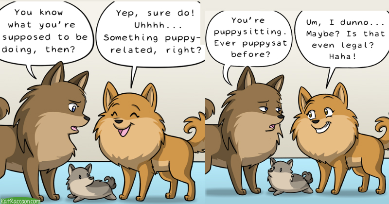 Behind the GIF: Puppysitting - Memebase - Funny Memes