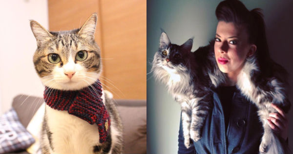 Both You and Your Pet Can Rock This Hot New Winter Accessory - I Can ...