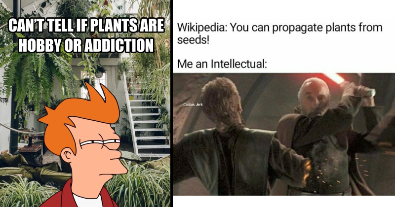 A Blossoming Of Plant Memes For Green-Fingered Soil Fiends - Memebase ...