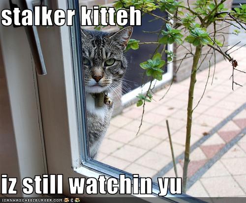 stalker kitteh iz still watchin yu - Cheezburger - Funny Memes | Funny ...