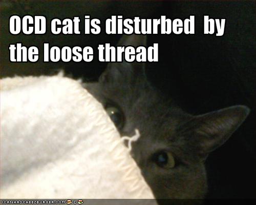 OCD cat is disturbed by the loose thread - Cheezburger - Funny Memes ...