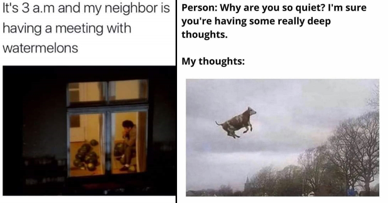 40+ Memes And Posts For Some Banter-Filled Enjoyment - Memebase - Funny ...