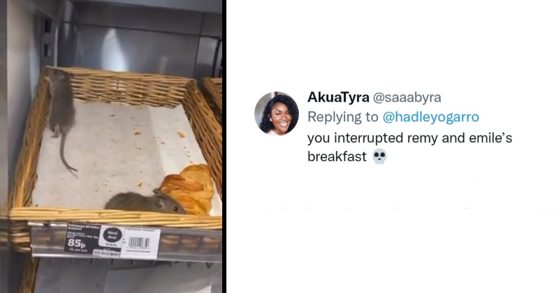 Grocery Store Customer Grossed Out By Bakery Rat Infestation - Memebase ...