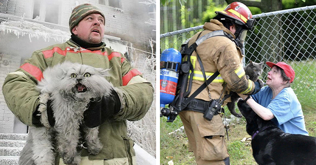 23 Heartwarming Pictures Of Firefighters Rescuing Cats - I Can Has ...