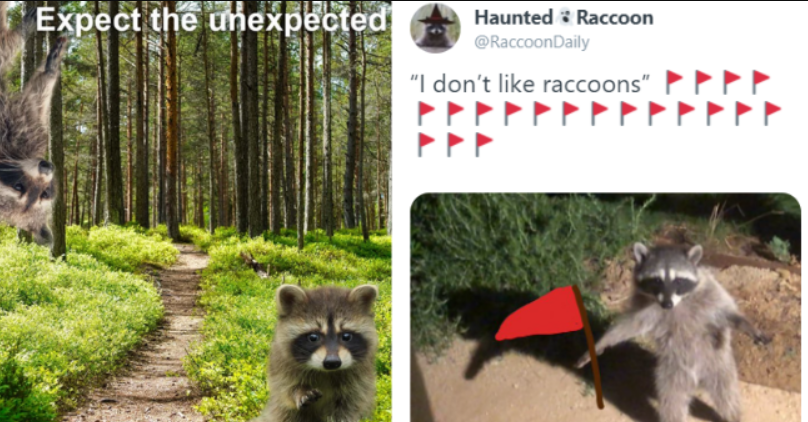 Raccoon Medley: Trash Panda Tweets And Memes - I Can Has Cheezburger?