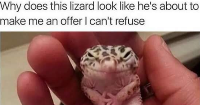 Incredible Lizard Memes That Iguana Show You Right Now - I Can Has ...
