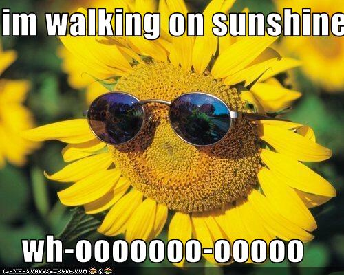 im walking on sunshine wh-ooooooo-ooooo - Cheezburger - Funny Memes ...
