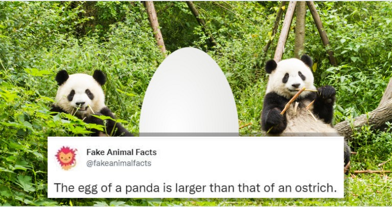 19 Totally Real Animal Facts That Definitely Aren't A Joke - I Can Has ...