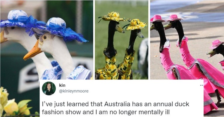 Ducks Through The Decades: A Timeline Of Duck Fashion Show Trends - I ...