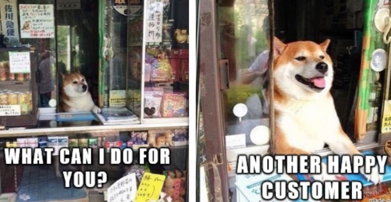 Smiling Shiba Memes To Brighten Any Day - I Can Has Cheezburger?