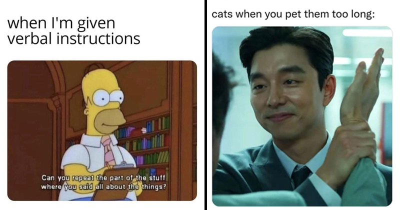 A Fun Jumble of Memes for the Avoidance of Responsibilities - Memebase ...