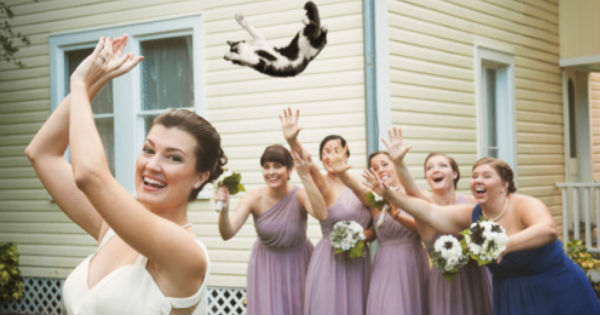Someone Replaced Bouquets With Cats And It's Hilarious - I Can Has ...