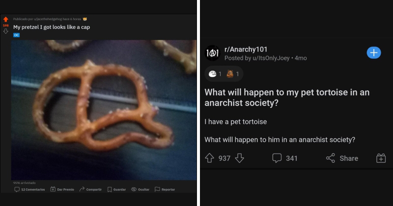 15+ Random Reddit Posts Both Distracting And Bizarre - Memebase - Funny ...