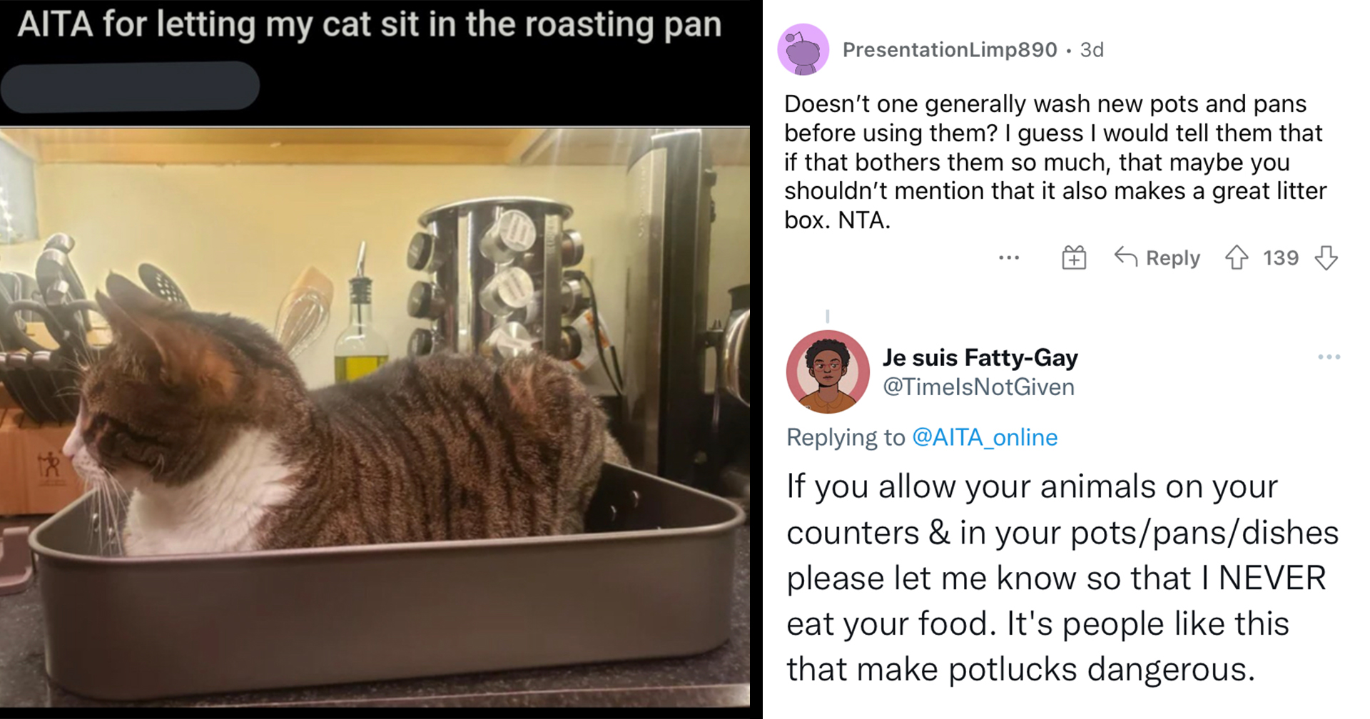 People Debate Whether It’s Gross or Fine to Let Cats Around the ...