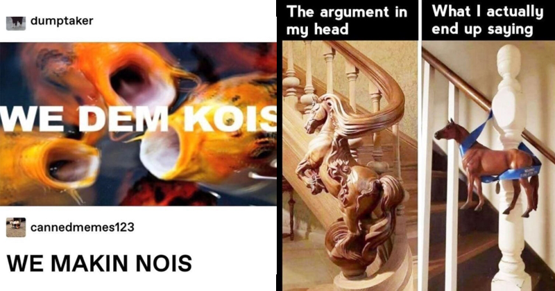 A Multitude Of Memes For Many Different Moments - Memebase - Funny Memes