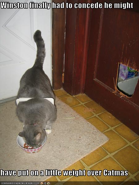 Tis the Season for Stretchy Pants - Christmas - christmas memes and ...