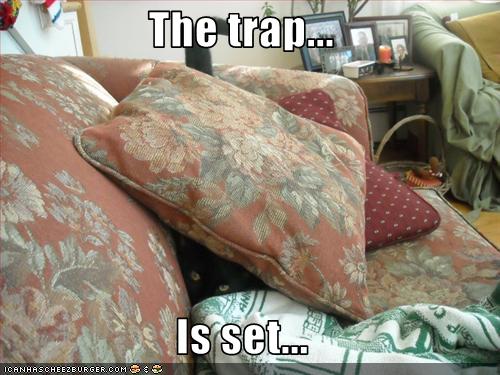 The trap... Is set... - Cheezburger - Funny Memes | Funny Pictures