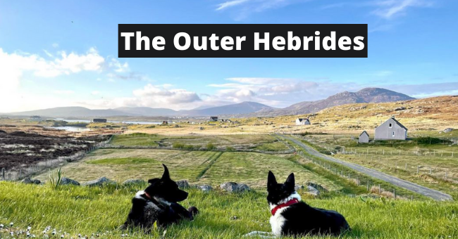 World Of Animals: A Peek Into A Remote Scottish Island Filled With ...