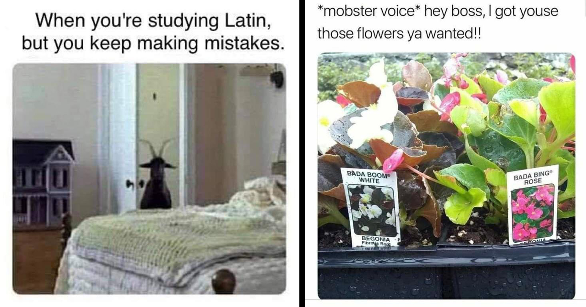 40+ Mediocre Memes for People Who Like 'Em Dumb - Memebase - Funny Memes