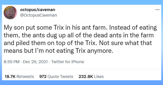 Twitter Thread: Putting Trix In An Ant Farm And Ants' Weird Habits - I ...