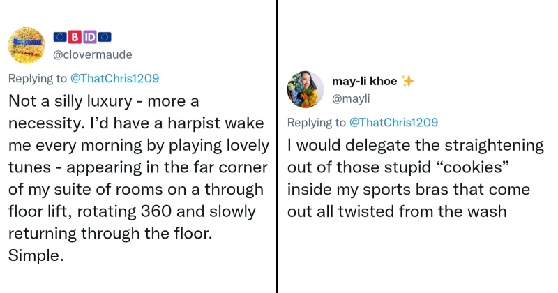 People Ponder What Ridiculous Luxuries They’d Have If They Were Stupid ...