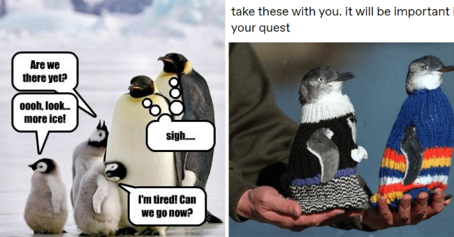 Perfect Penguin Memes To Celebrate National Penguin Day - I Can Has ...