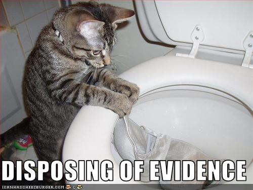 Parol Evidence Memes