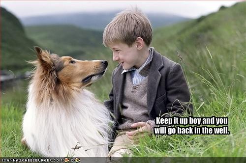 I Can Has Cheezburger? - lassie - Page 3 - Funny Animals Online ...