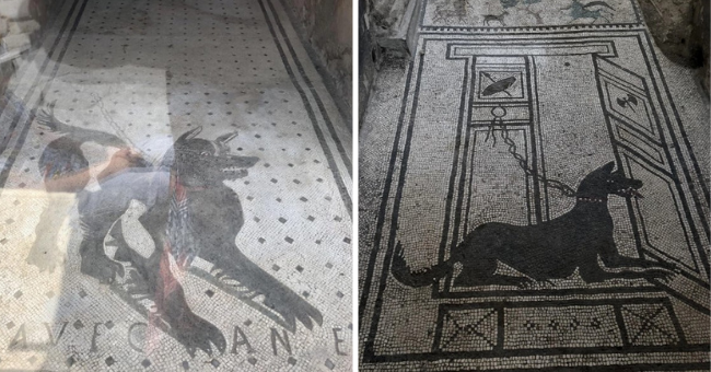 A Delightful Slideshow Of Pompeii Pups & History - I Can Has Cheezburger?