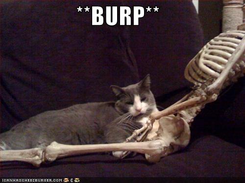 **BURP** - Cheezburger - Funny Memes | Funny Pictures