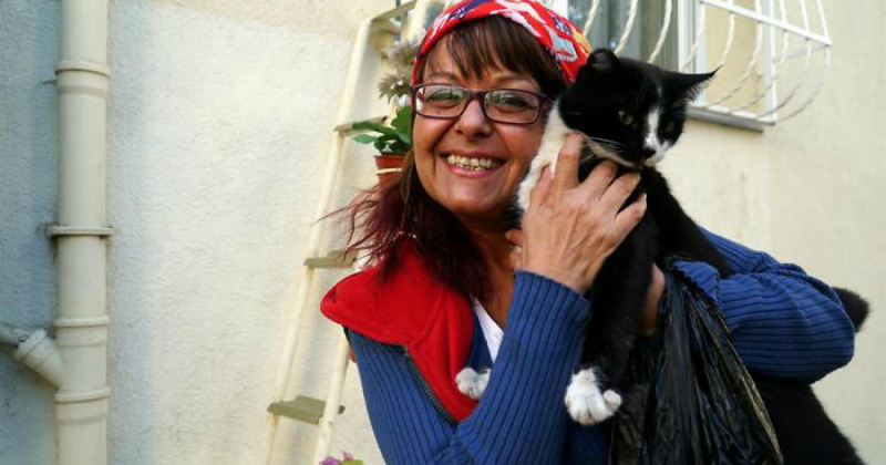 This Clever Woman Built a Cat Ladder to Share Her Warmth With the Stray ...