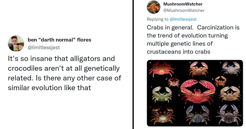 The Selection Memes Memebase Natural Selection All Your Memes In