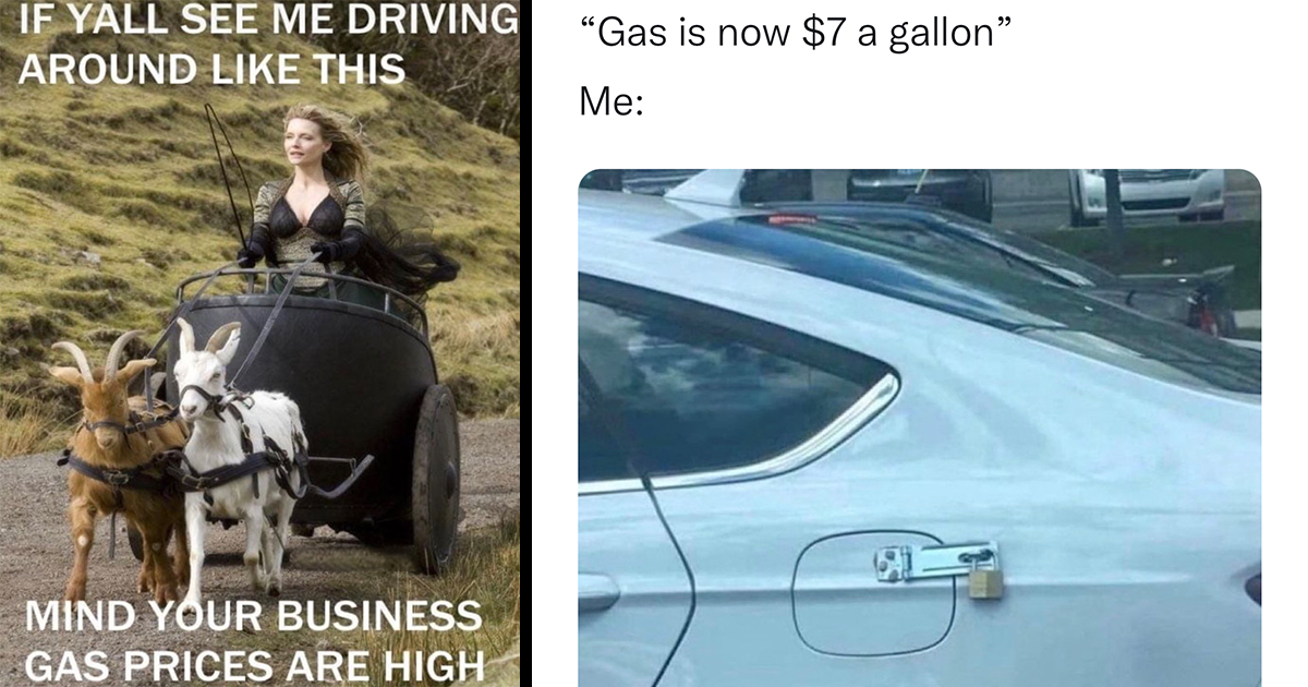 Petroleum Memes