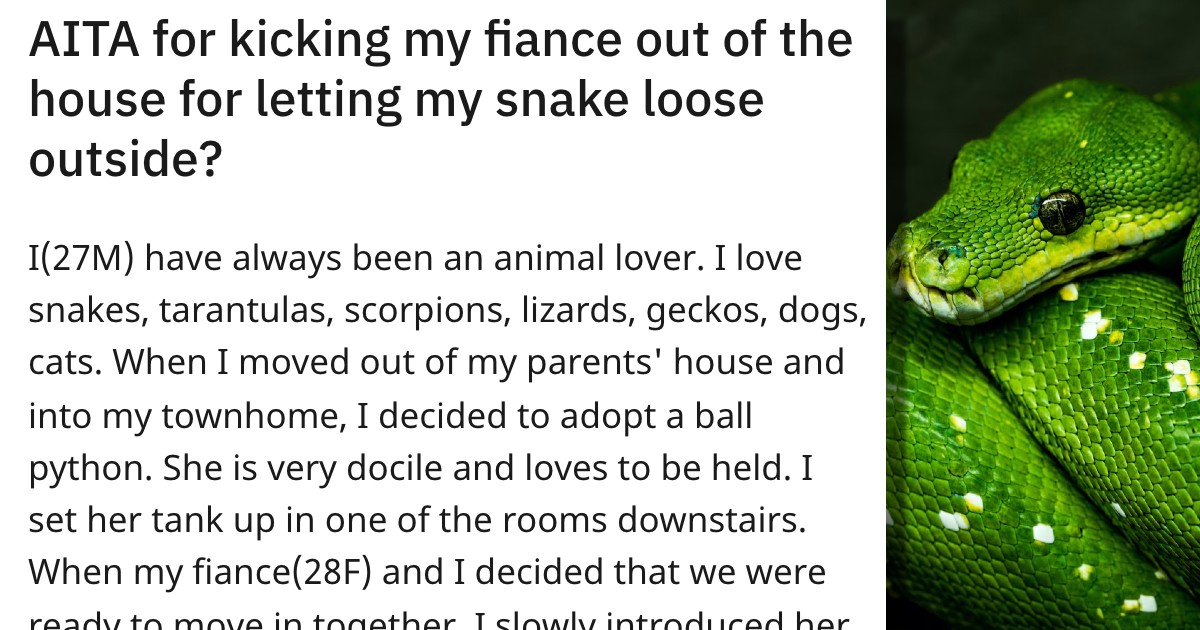 Woman Can't Handle Fiancé's Giant Python and Unleashes It Upon the ...