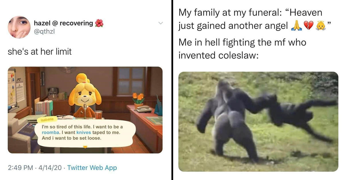 A Hefty Handful of Funny Memes and Tweets - Memebase - Funny Memes