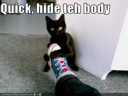 Quick, hide teh body - Cheezburger - Funny Memes | Funny Pictures