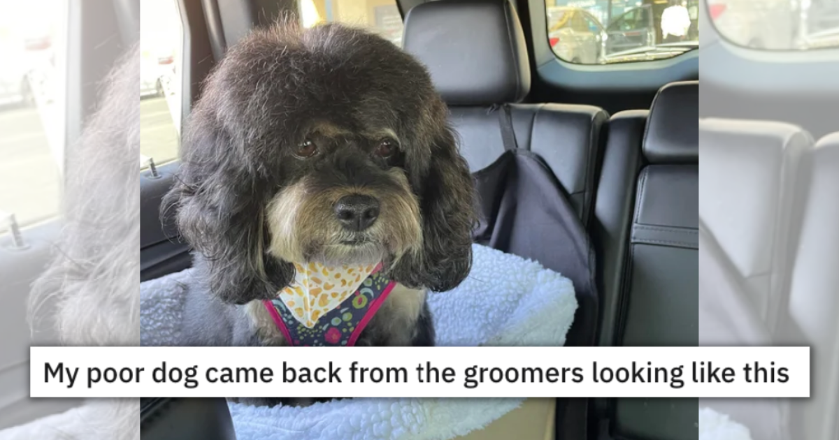 I Can Has Cheezburger? - trim - Funny Animals Online - Cheezburger