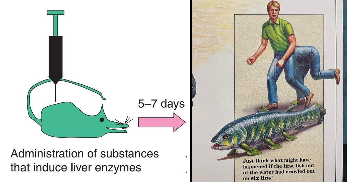 Out of Context Science Diagrams That Look Like Memes - Memebase - Funny ...