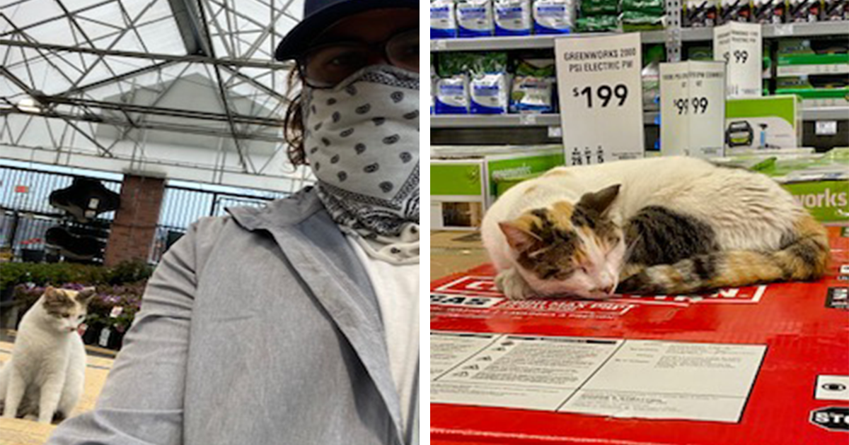 palingates: "Real Americans": From Neal Horsley to Sarah Palin