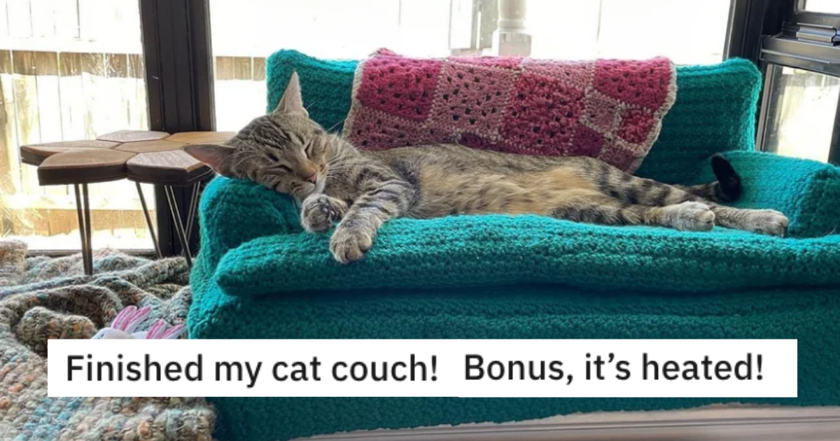Cat Owners Crochet Dresses And Heated Couches For Their Cats - I Can ...