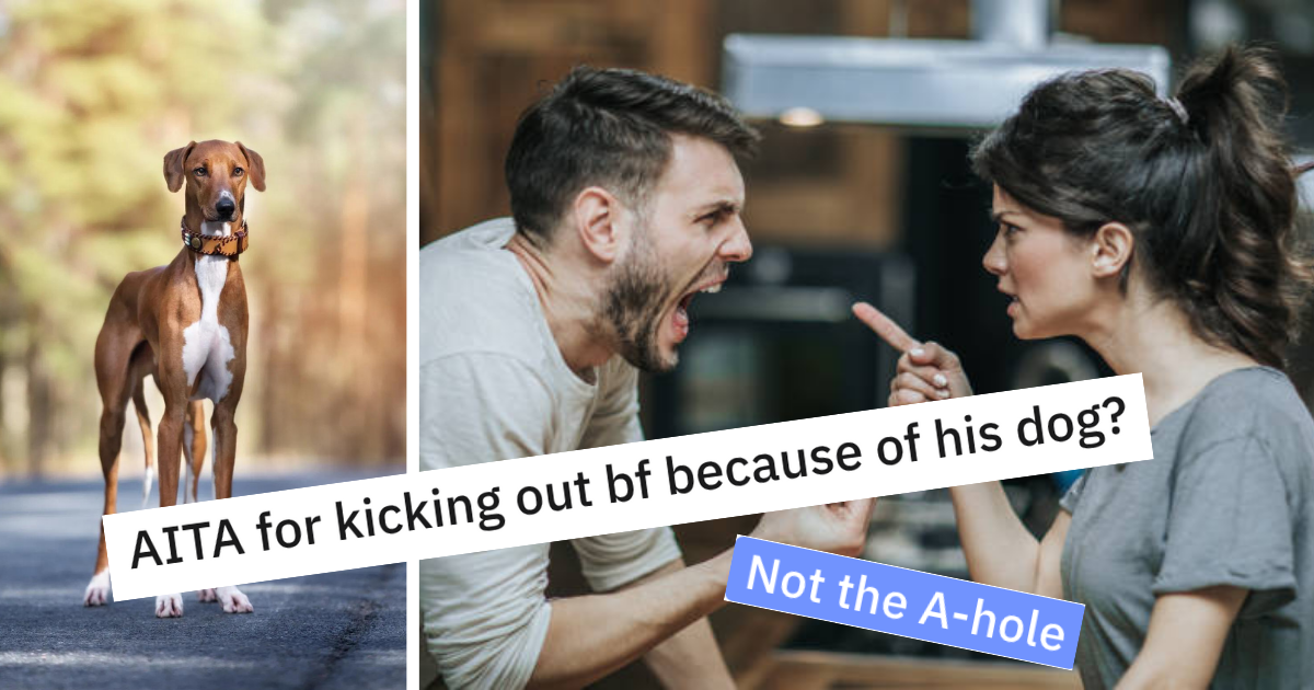 Woman Kicks Boyfriend And His Dog To The Curb While Reddit Cheers Her ...