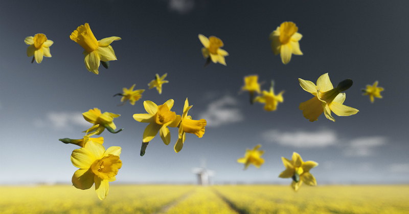 9 Photos of Floating Flowers That Are Guaranteed to Lift Your Spirits ...