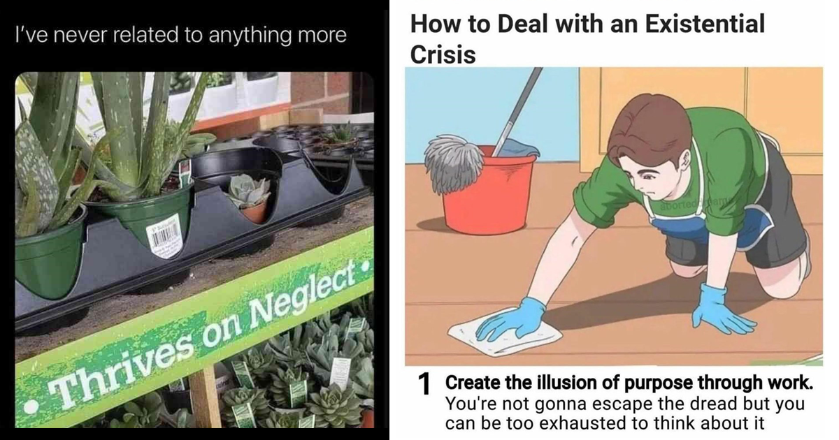 A Plethora of Memes Both Weird and Normie - Memebase - Funny Memes