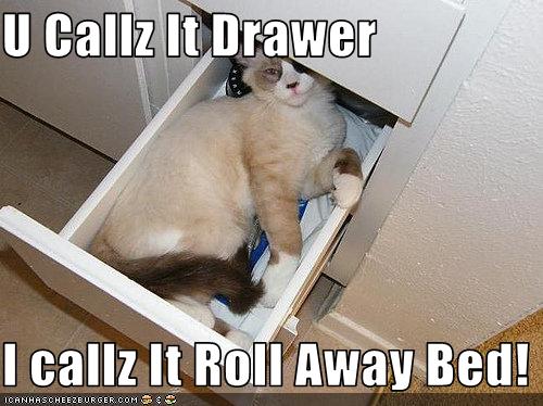 U Callz It Drawer I callz It Roll Away Bed! - Cheezburger - Funny Memes ...