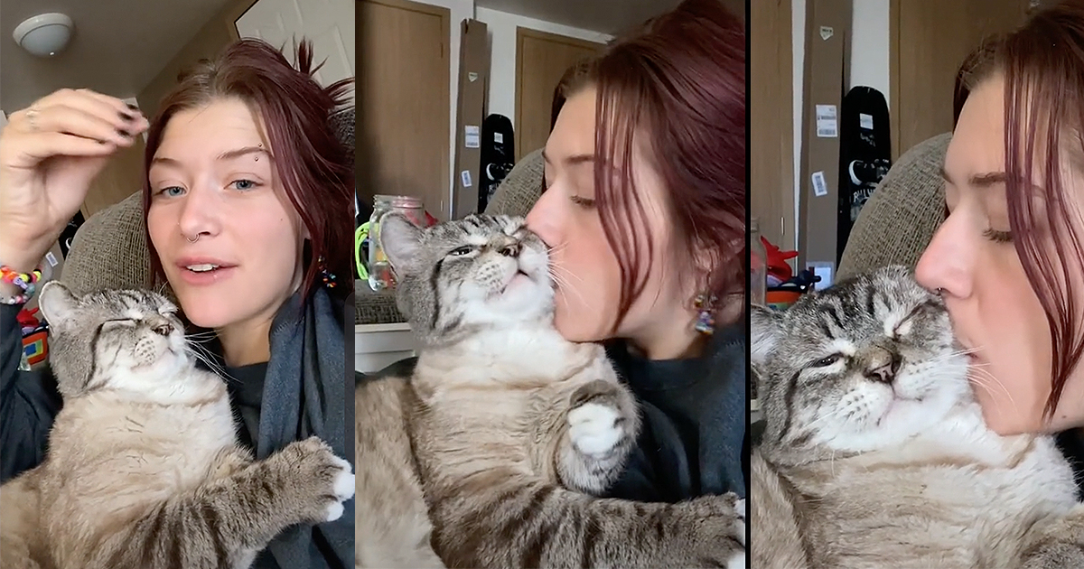 Woman Discovers Adorable Way to Put Her Cat in a Trance-Like State by ...