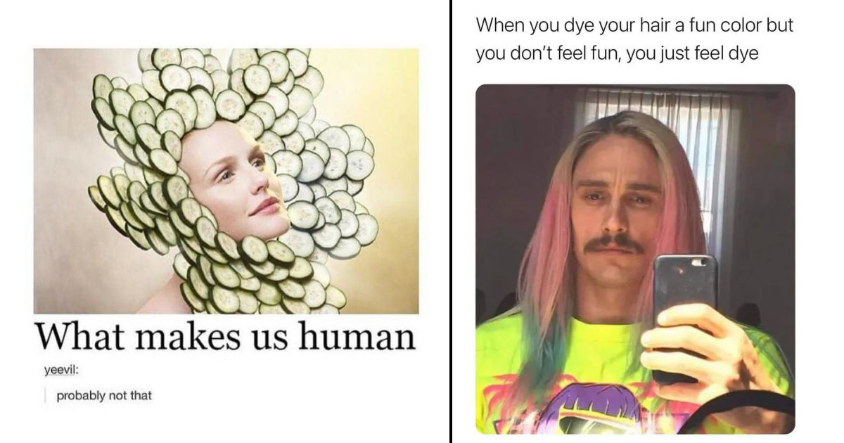 Surreal Memes That Might Make You Question Everything - Memebase ...