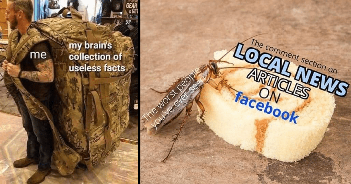 A Passable Pocketful Of Different Memes - Memebase - Funny Memes