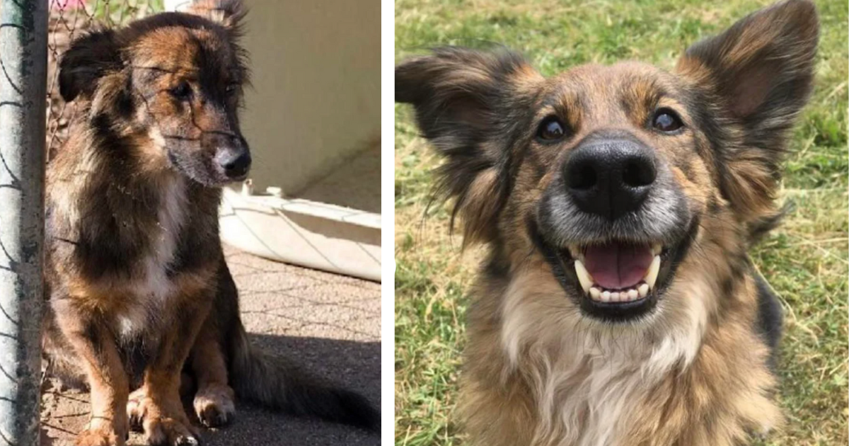 Home - Page 4 - The Big Cheezburger Network - Made from the finest of ...