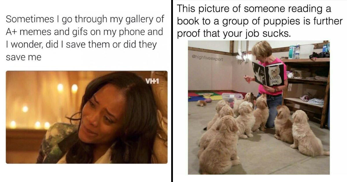 A Sampling Of Delectable Memes For Your Pleasure - Memebase - Funny Memes